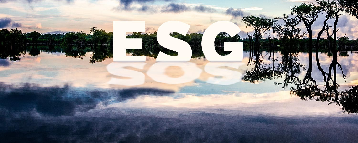 O que é ESG e como ele impacta a agroindústria e o setor rural - Agrotools